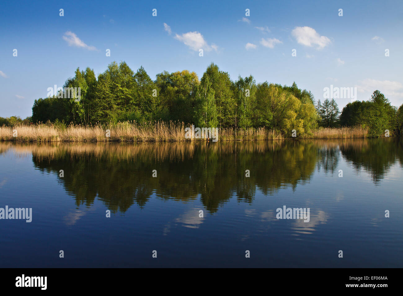 Landscape on a lake in Germany Stock Photo - Alamy
