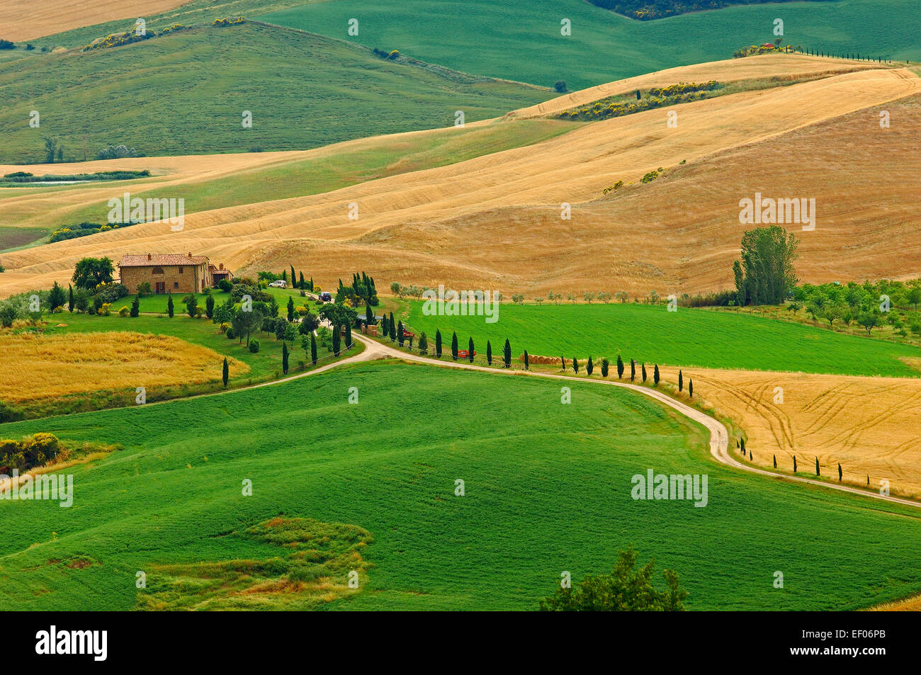 Pienza, Val d´Orcia, Orcia Valley, Fields and Farmhouse, Tuscany ...
