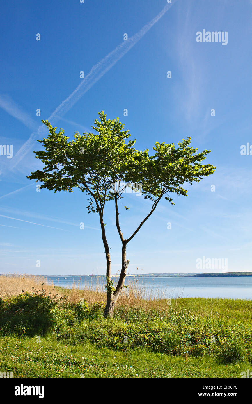 Bodden ruegen hi-res stock photography and images - Alamy