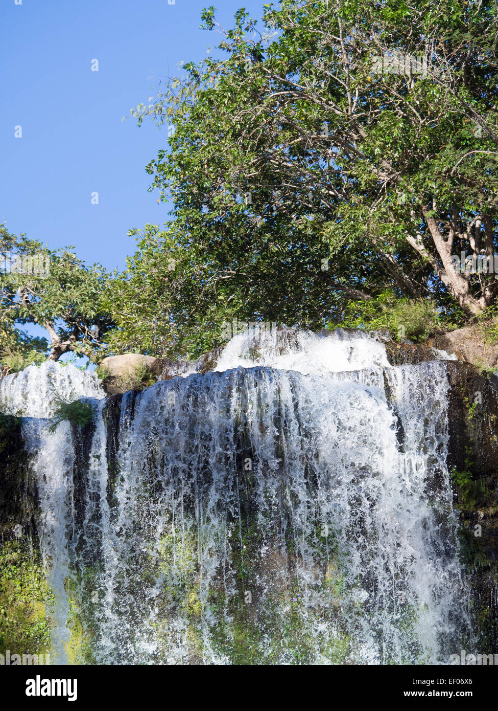 waterfall with trees Stock Photo - Alamy