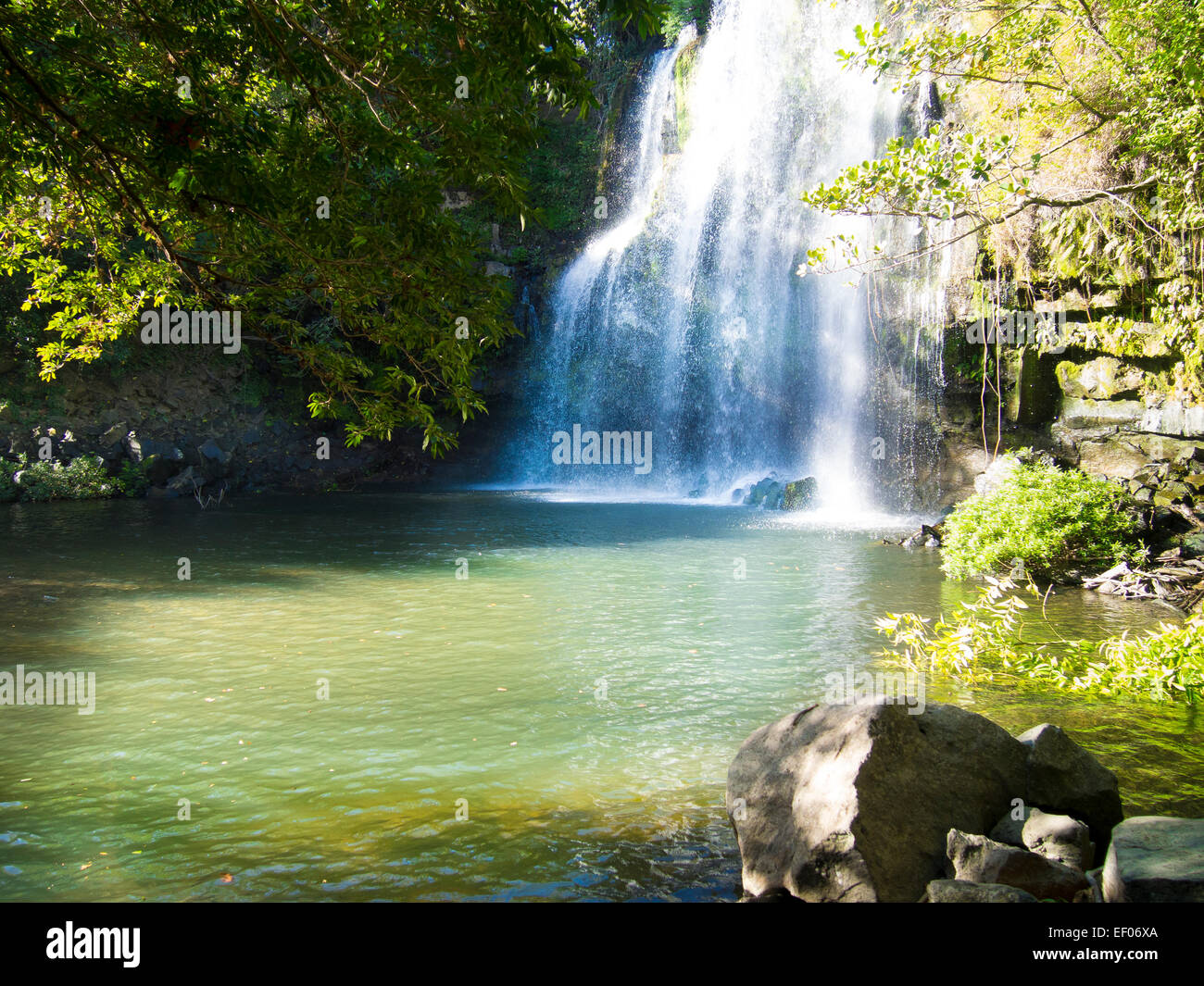 Waterfall in the woods Stock Photo - Alamy