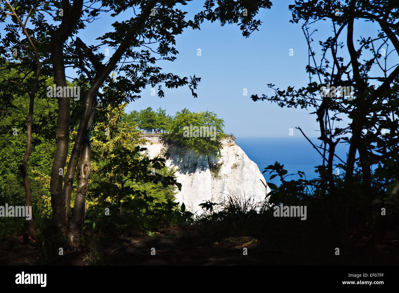 Chalk Cliffs on the island Ruegen (Germany Stock Photo - Alamy