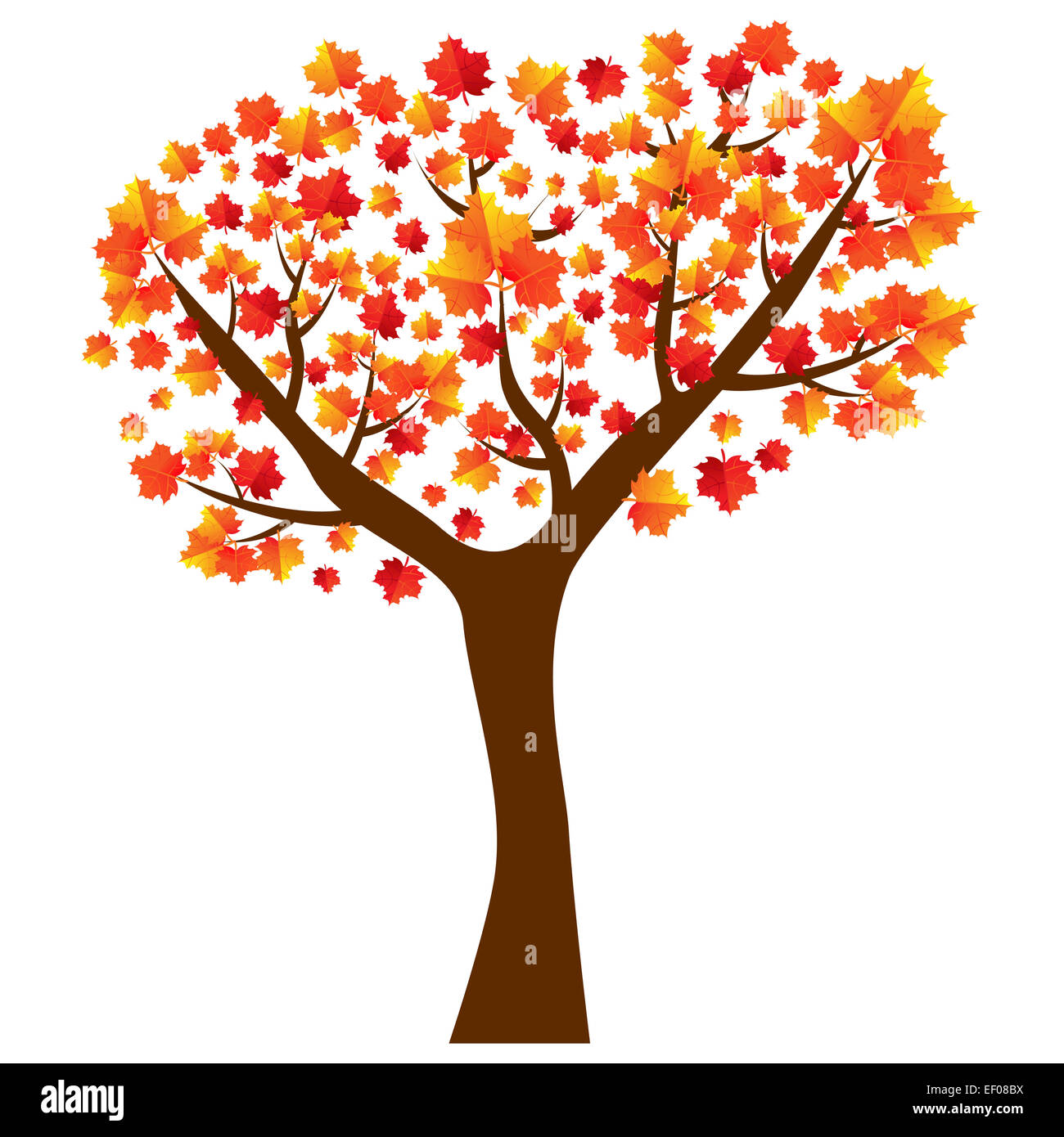 Cartoon autumn tree fall hi-res stock photography and images - Alamy
