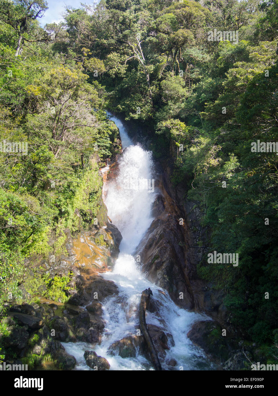 Waterfall in the forest Stock Photo - Alamy
