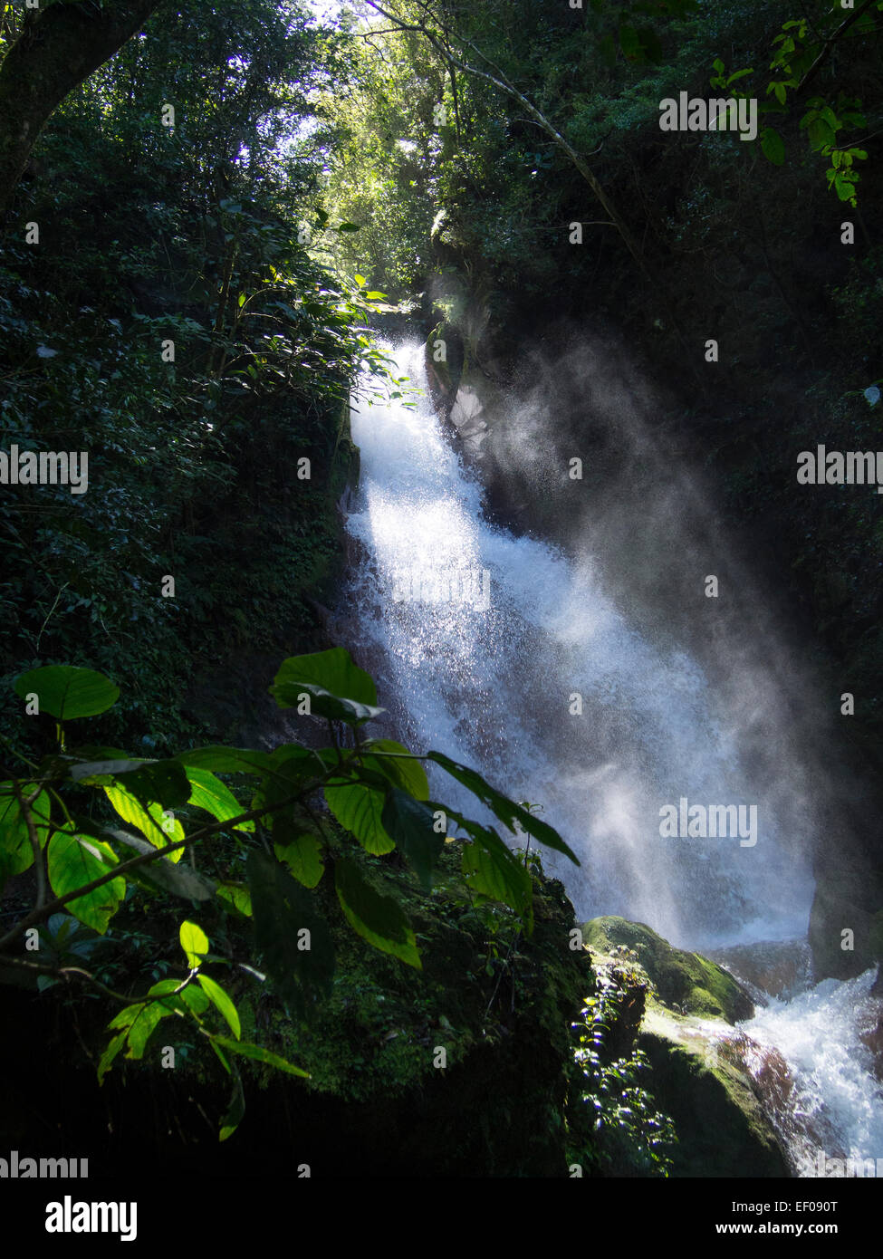 Waterfall in the forest Stock Photo - Alamy