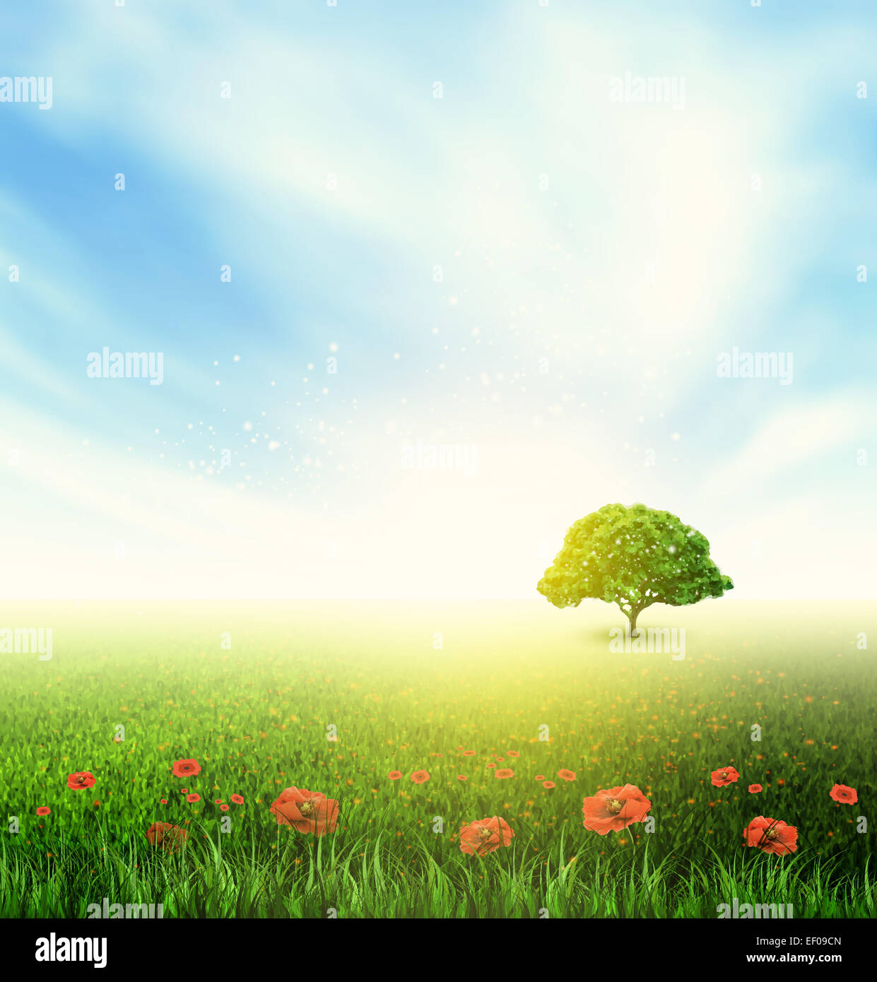 Summer Landscape With Field, Sky, Tree, Grass And Blooming Poppies ...