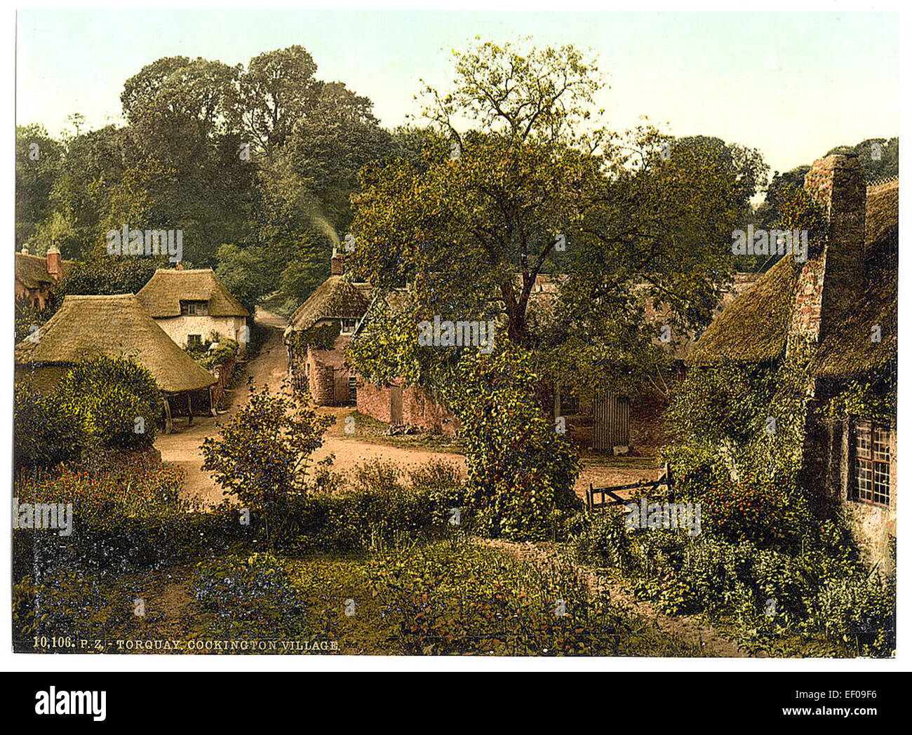 Cockington village hi-res stock photography and images - Alamy
