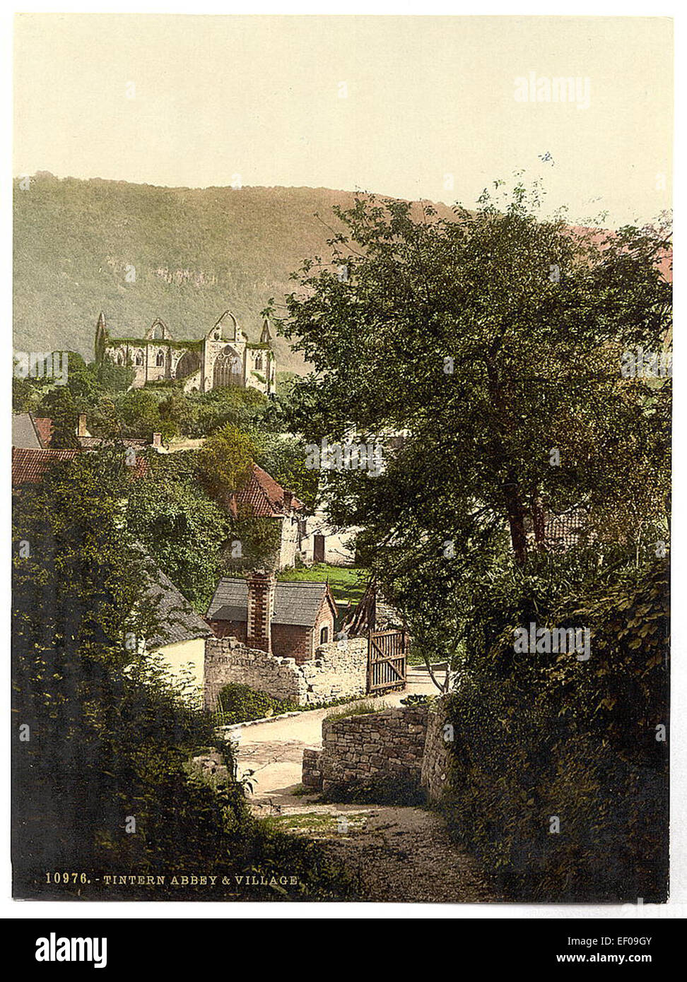 A photograph capturing Tintern Abbey and its surrounding village, a ...