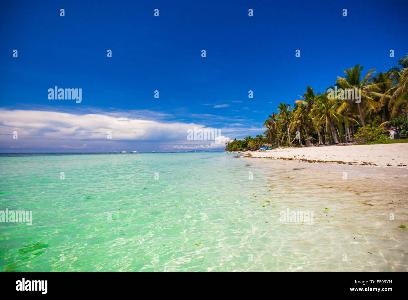 Perfect tropical beach with turquoise water and white sand beaches in ...