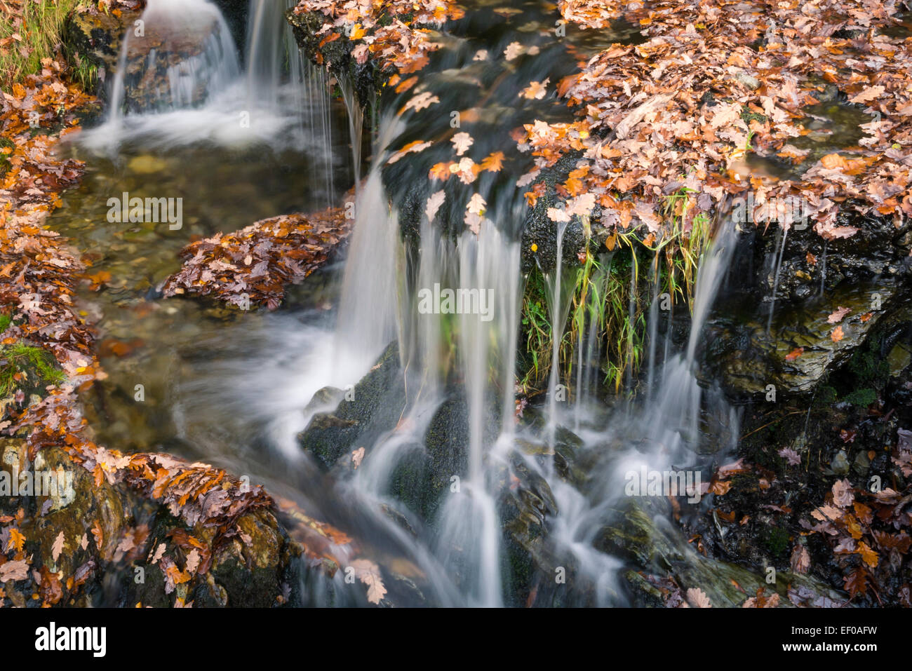 Waterfall Elan Valley Rhayader Powys Wales Stock Photo - Alamy