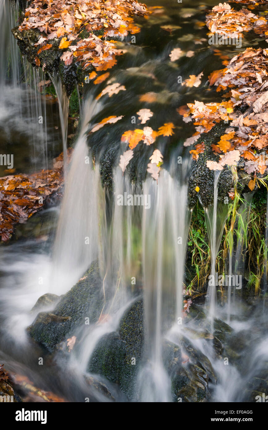 Waterfall Elan Valley Rhayader Powys Wales Stock Photo - Alamy