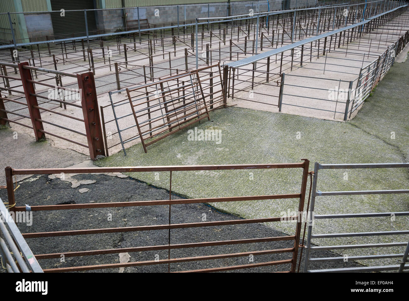 Empty Sheep Pens Stock Photos & Empty Sheep Pens Stock Images - Alamy
