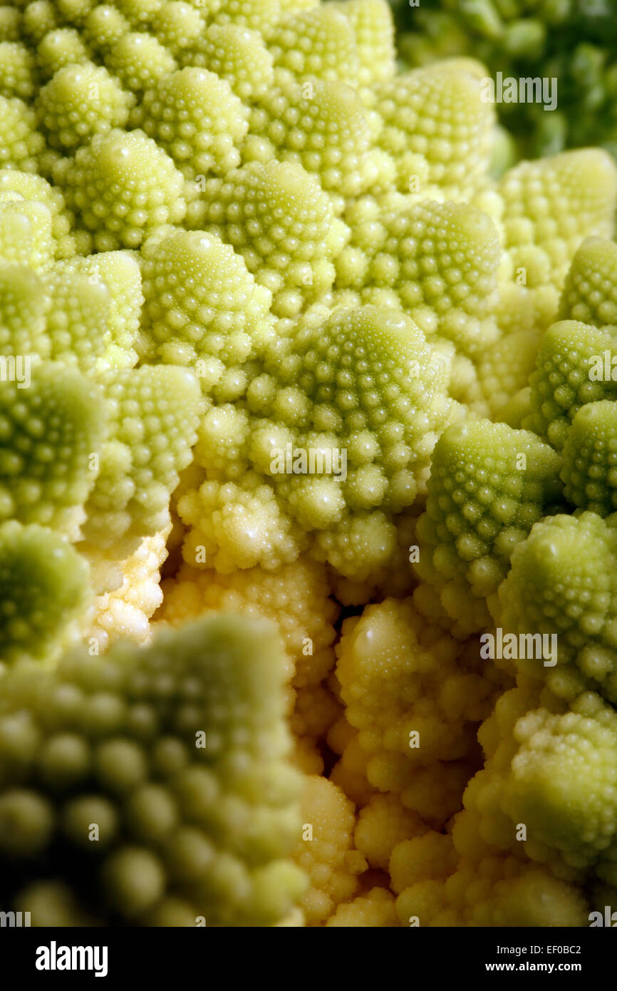 Different vegetables texture hi-res stock photography and images - Alamy