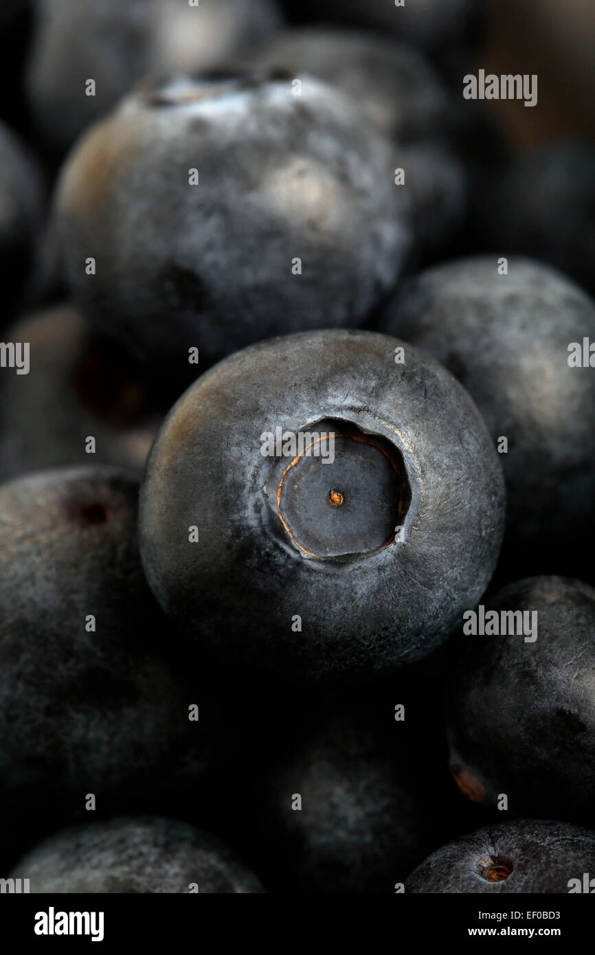 Blueberries close hi-res stock photography and images - Alamy