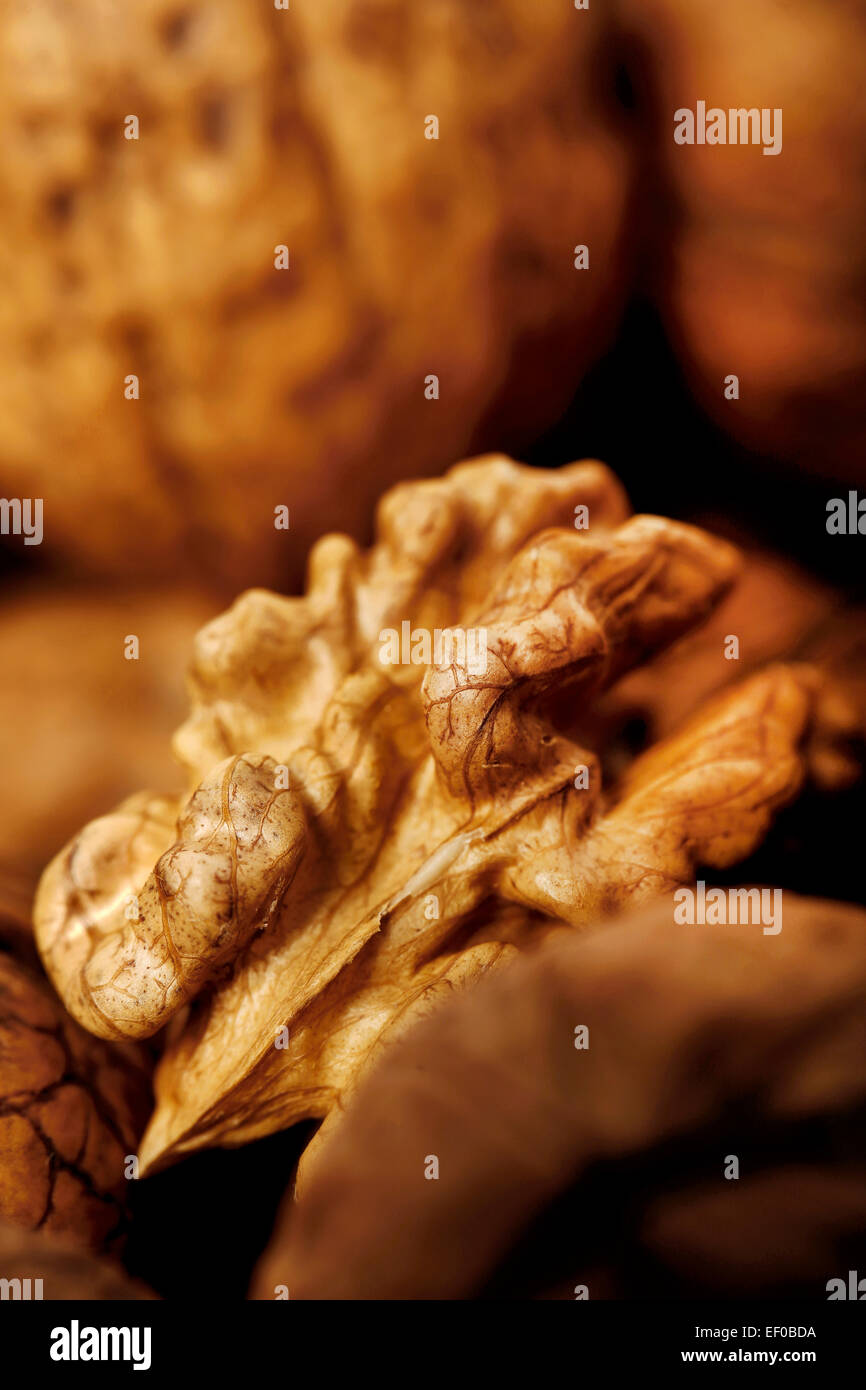 Walnut close hi-res stock photography and images - Alamy