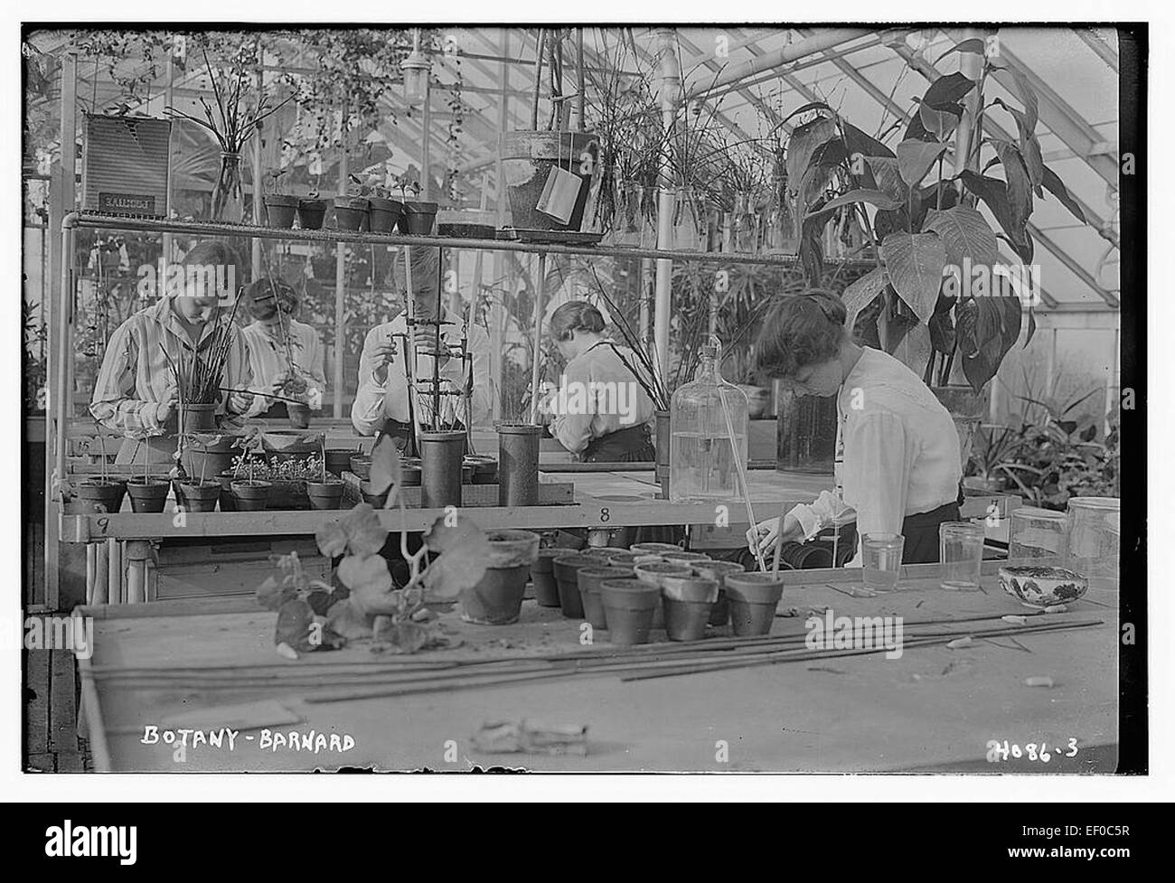 Class students nature Black and White Stock Photos & Images - Alamy