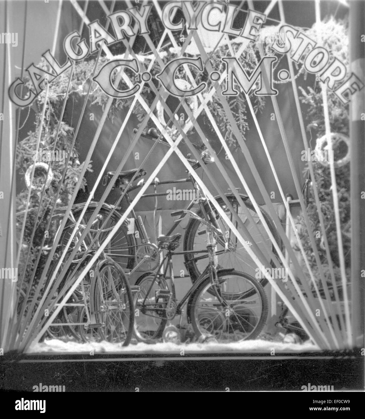 A festive Christmas window display at the Calgary Cycle Store showcases ...