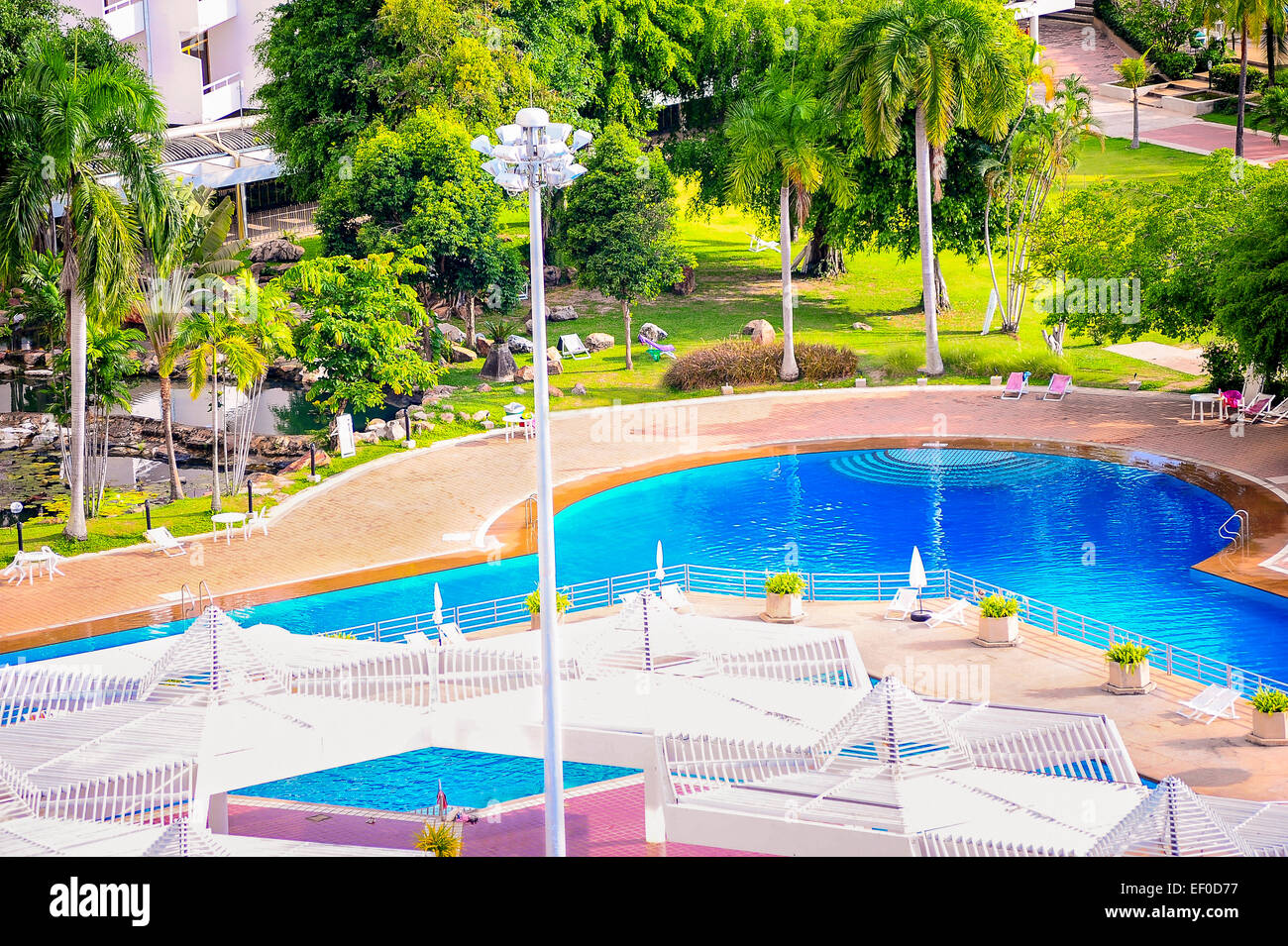 Clear blue water in large swimming pool with trees Stock Photo - Alamy