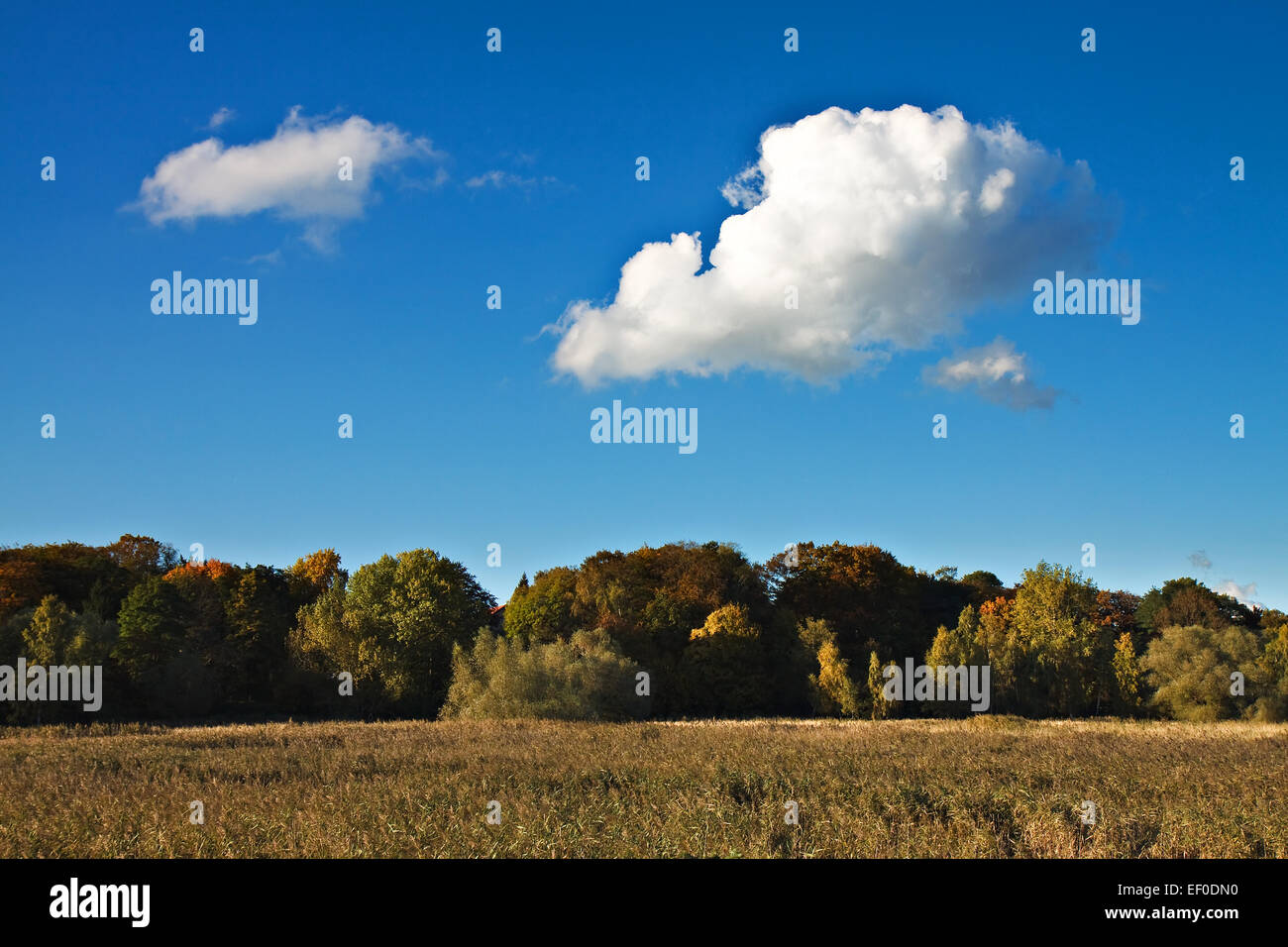 Landscape with clouds Stock Photo - Alamy