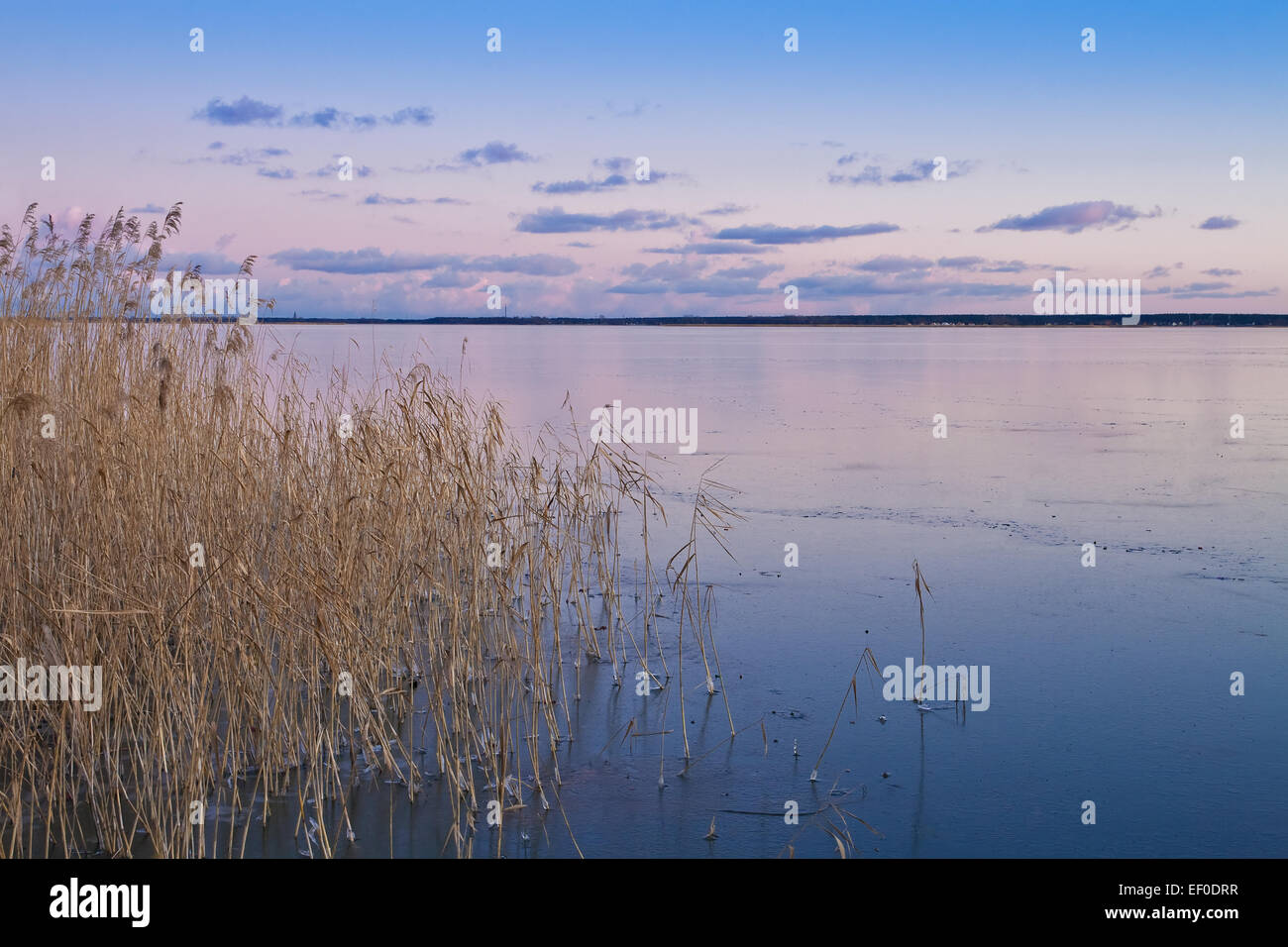 Wiek High Resolution Stock Photography and Images - Alamy