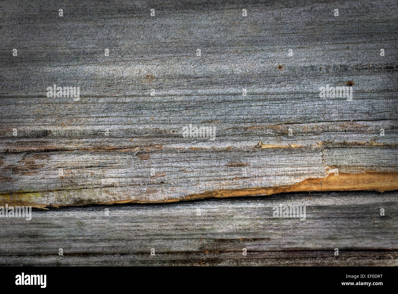 Old grey wood plank background, hdr rendering Stock Photo - Alamy