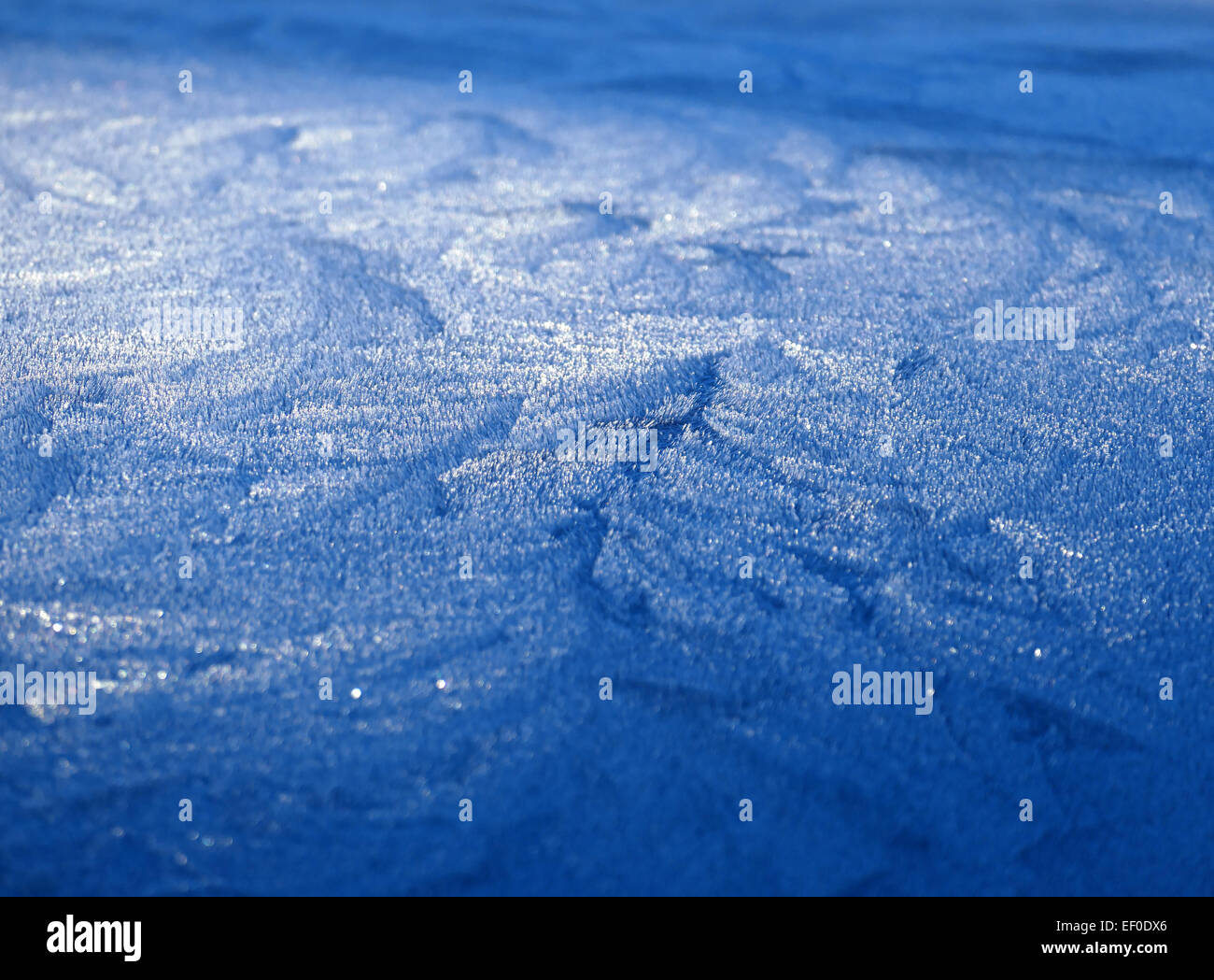 Early morning light display hi-res stock photography and images - Alamy