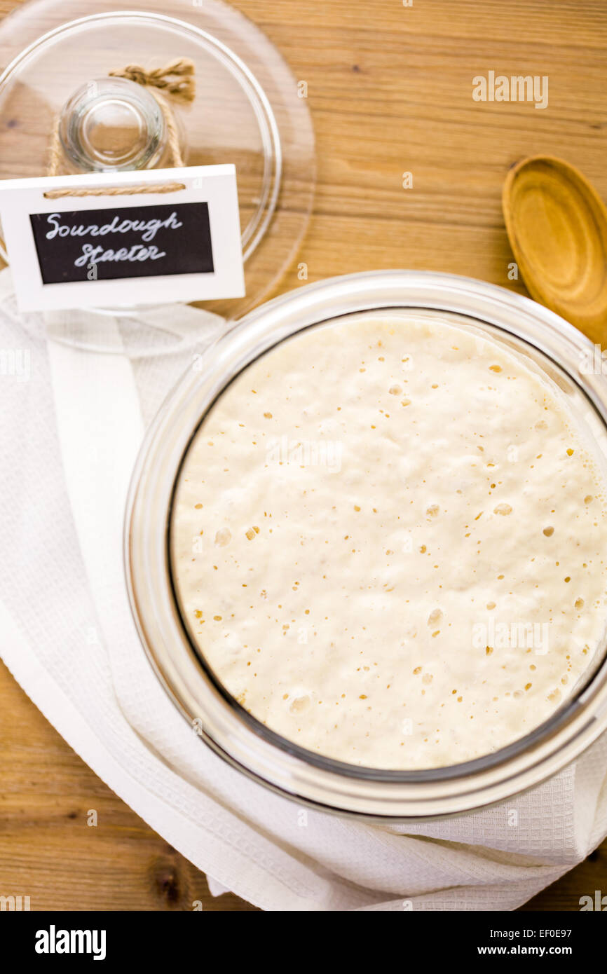 Sourdough starter in large glass jar on the table Stock Photo - Alamy