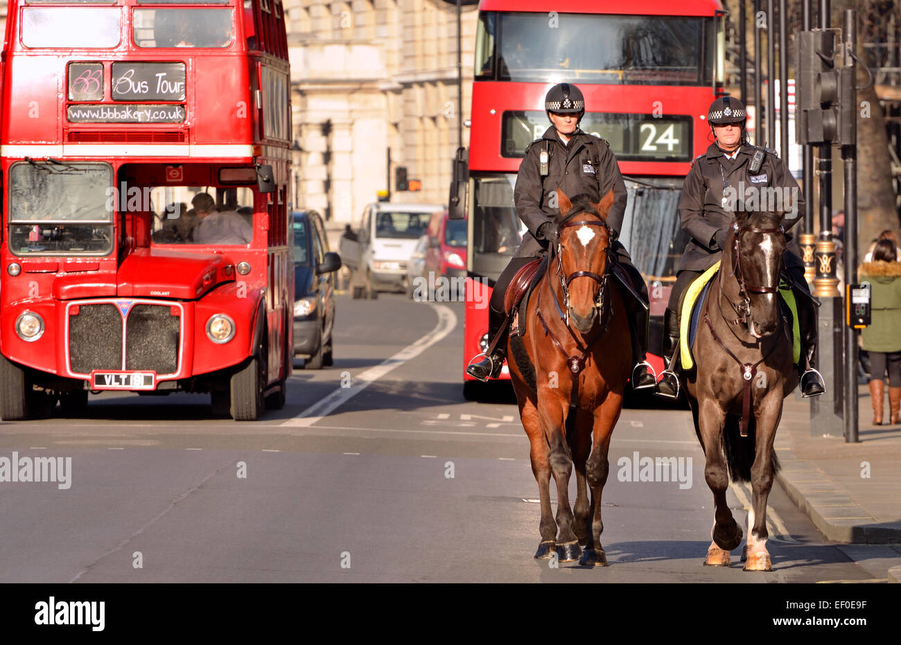 City Of London Police Mounted Branch High Resolution Stock Photography ...