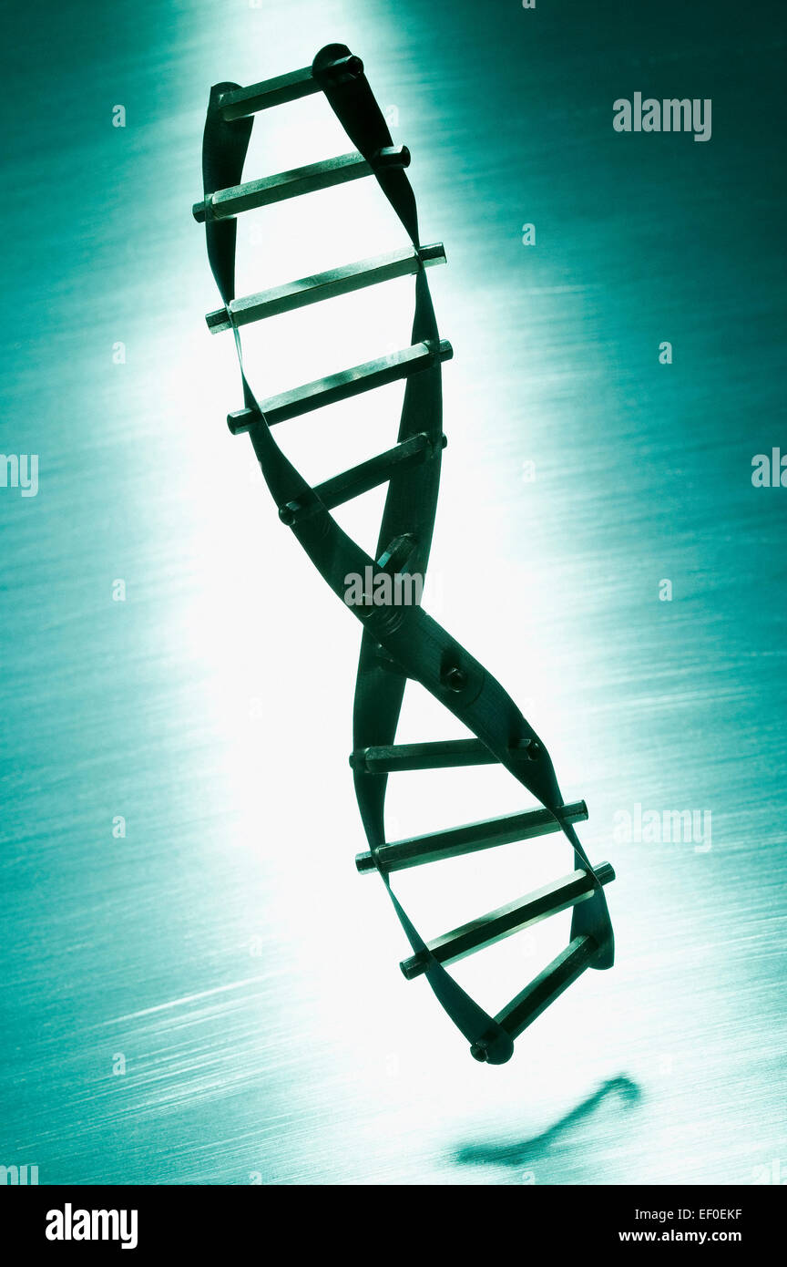 Dna building block hi-res stock photography and images - Alamy