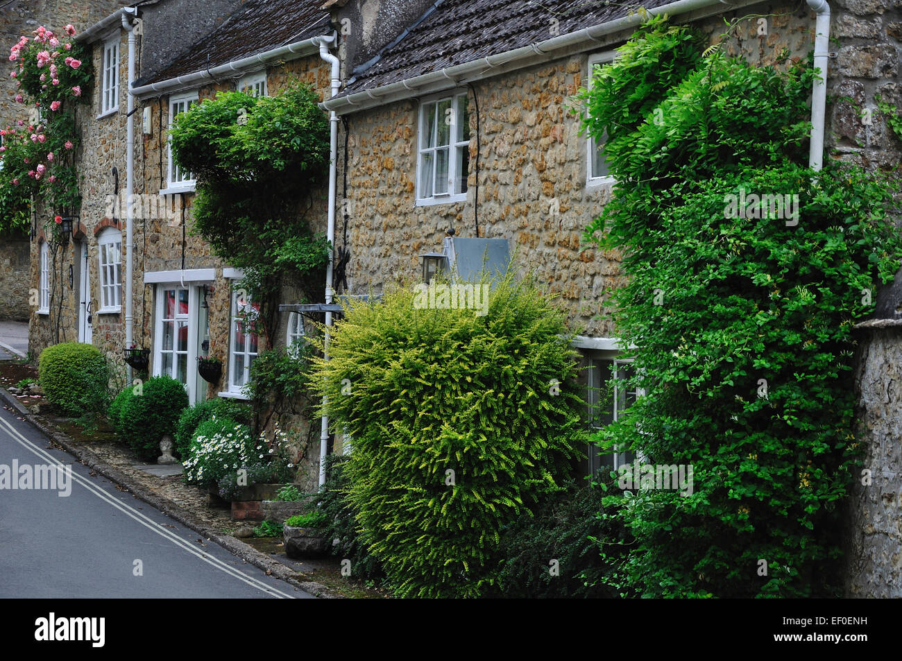 Beaminster, dorset hi-res stock photography and images - Alamy