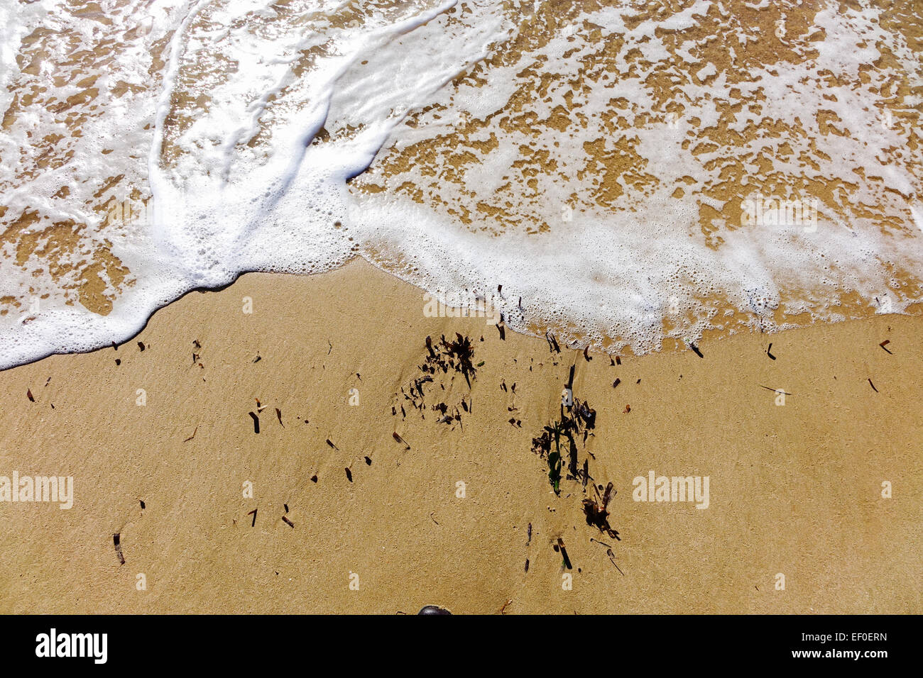 Wave of grass hi-res stock photography and images - Alamy