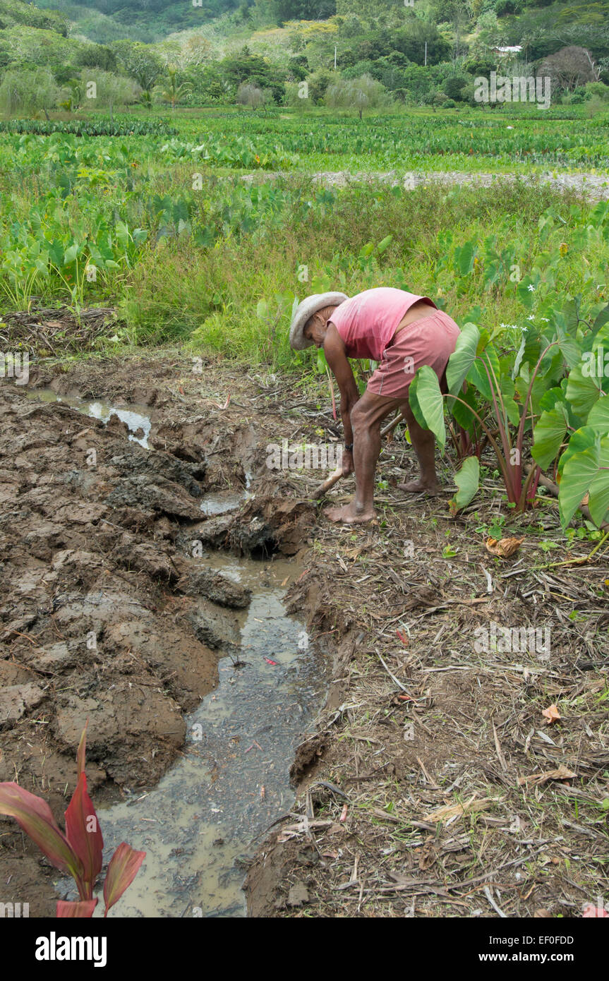 French Polynesia, Austral Islands, Tupua'i Islands, Island of Rurutu ...
