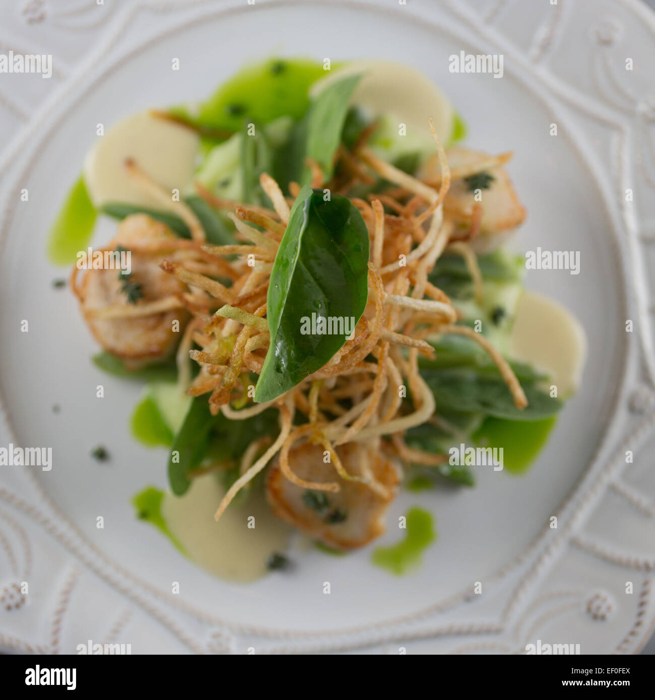 Stonington Maine sea scallops with chives puree de patatas and truffle ...