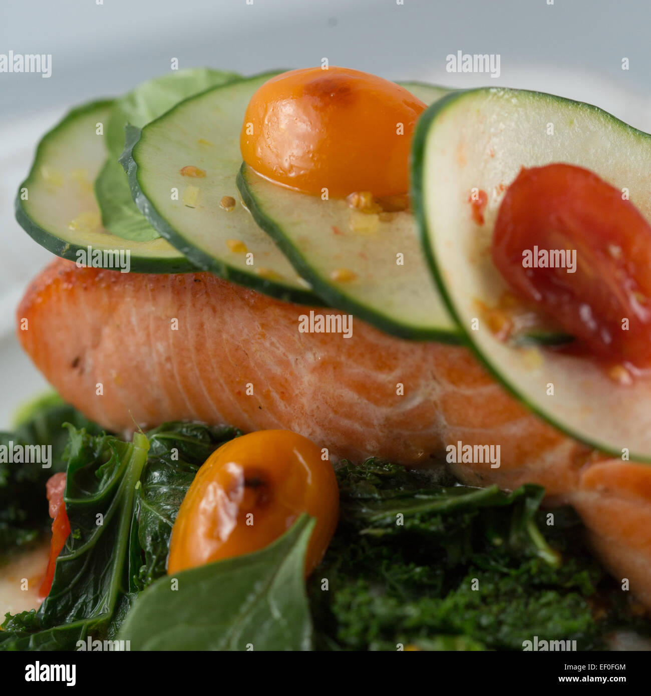 Fingerling chinook salmon hi-res stock photography and images - Alamy