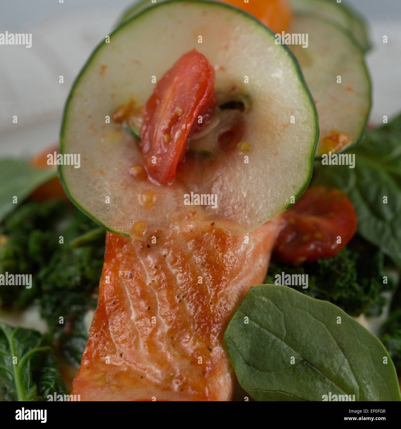 Fingerling chinook salmon hi-res stock photography and images - Alamy
