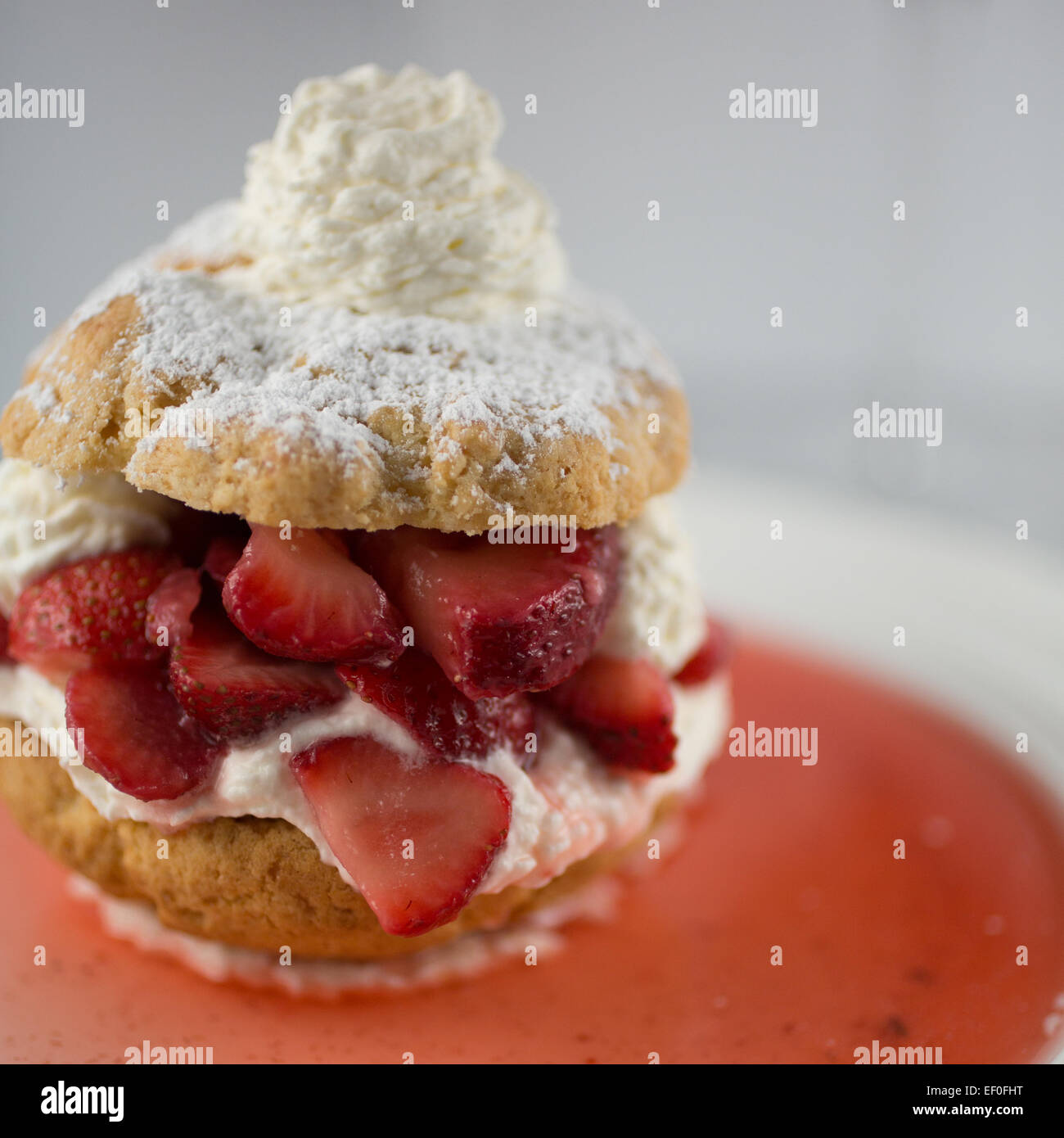 Strawberry shortcake with whipped cream. Photo by Lisa Wiltsee Stock ...