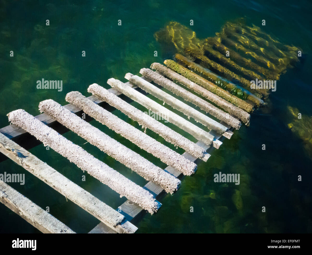 Water ladder hi-res stock photography and images - Alamy