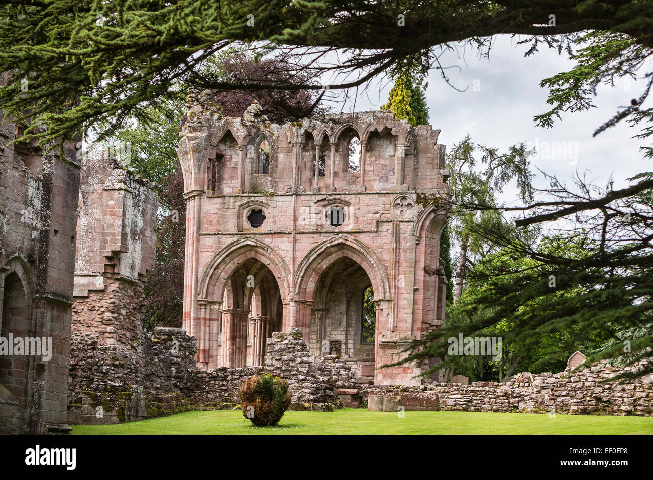Ruin of Dryburgh Abbey in the Borders of Scotland Stock Photo - Alamy