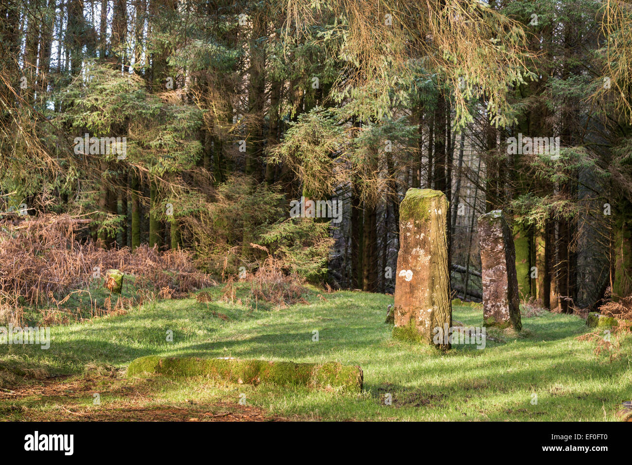 Kilmore Standing Stones at Dervaig on the Isle of Mull in Scotland ...