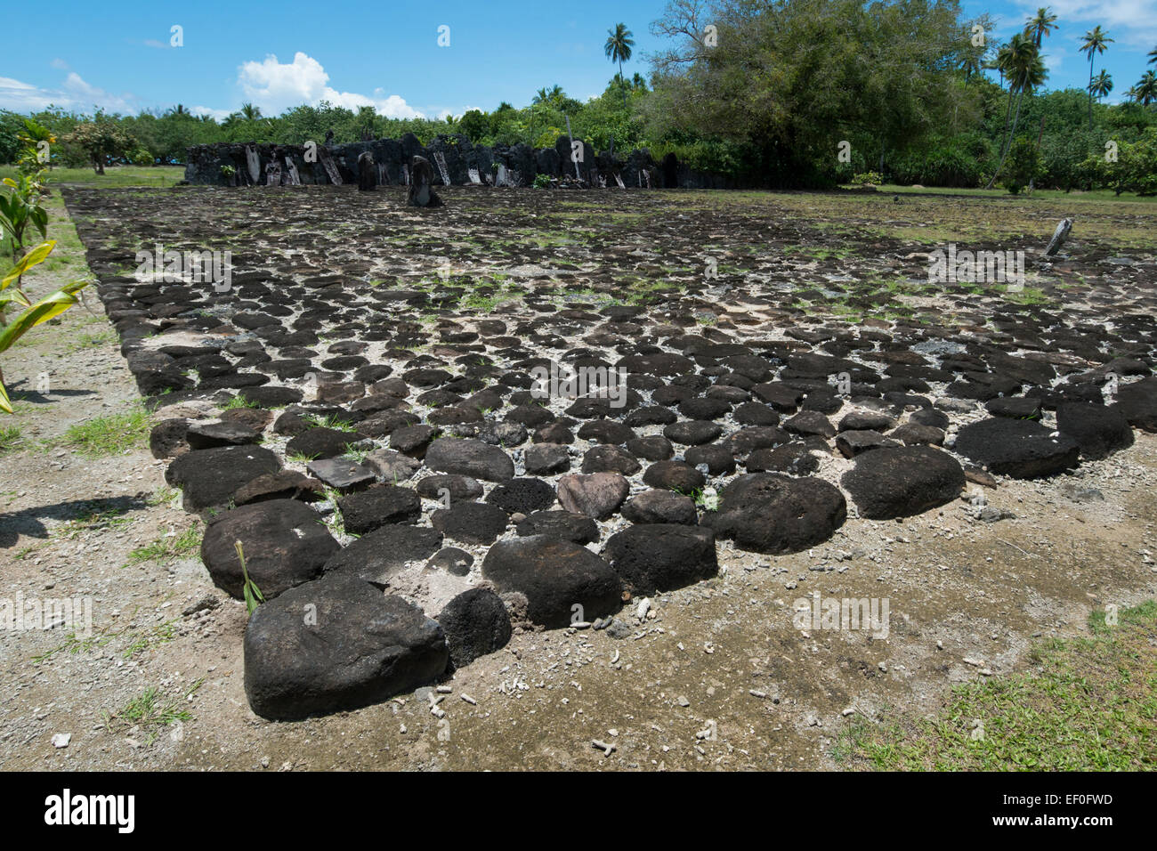 Society Islands, French Polynesia, Raiatea. Marae Taputapuatea, highly ...