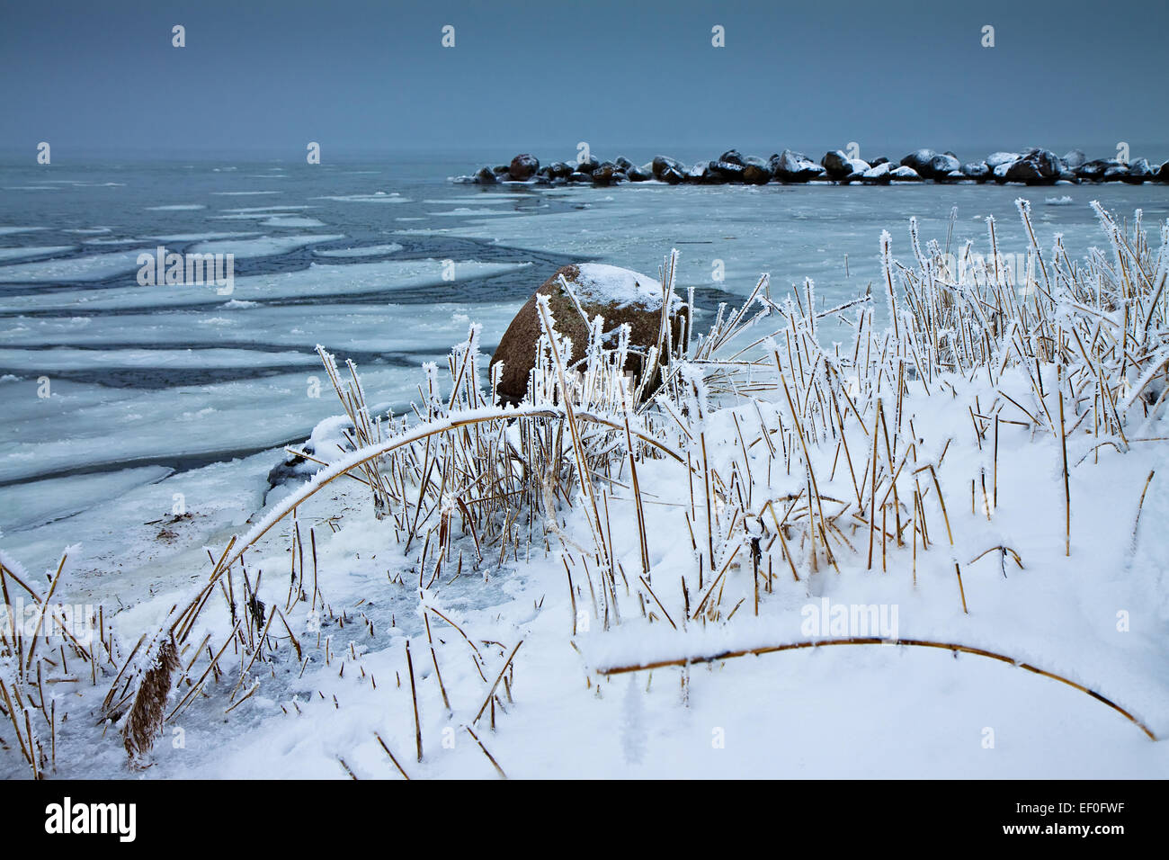 Winter on the Baltic coast Stock Photo - Alamy