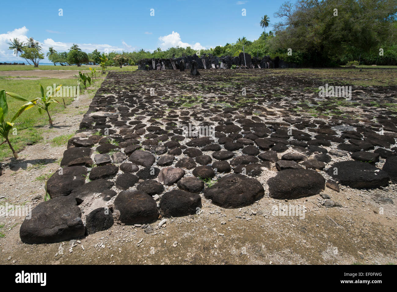 Society Islands, French Polynesia, Raiatea. Marae Taputapuatea, highly ...