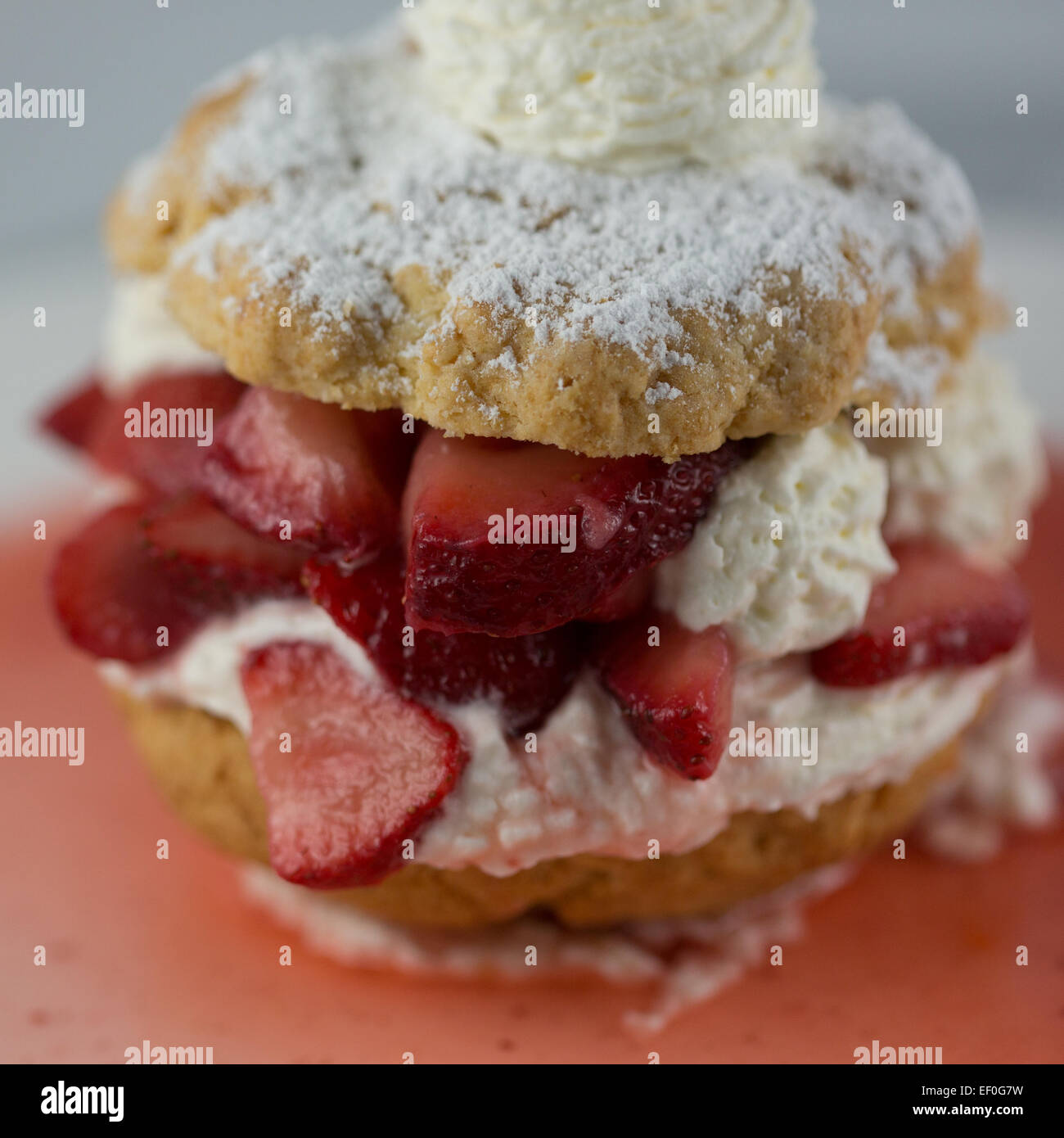 Strawberry shortcake with whipped cream. Photo by Lisa Wiltsee Stock ...