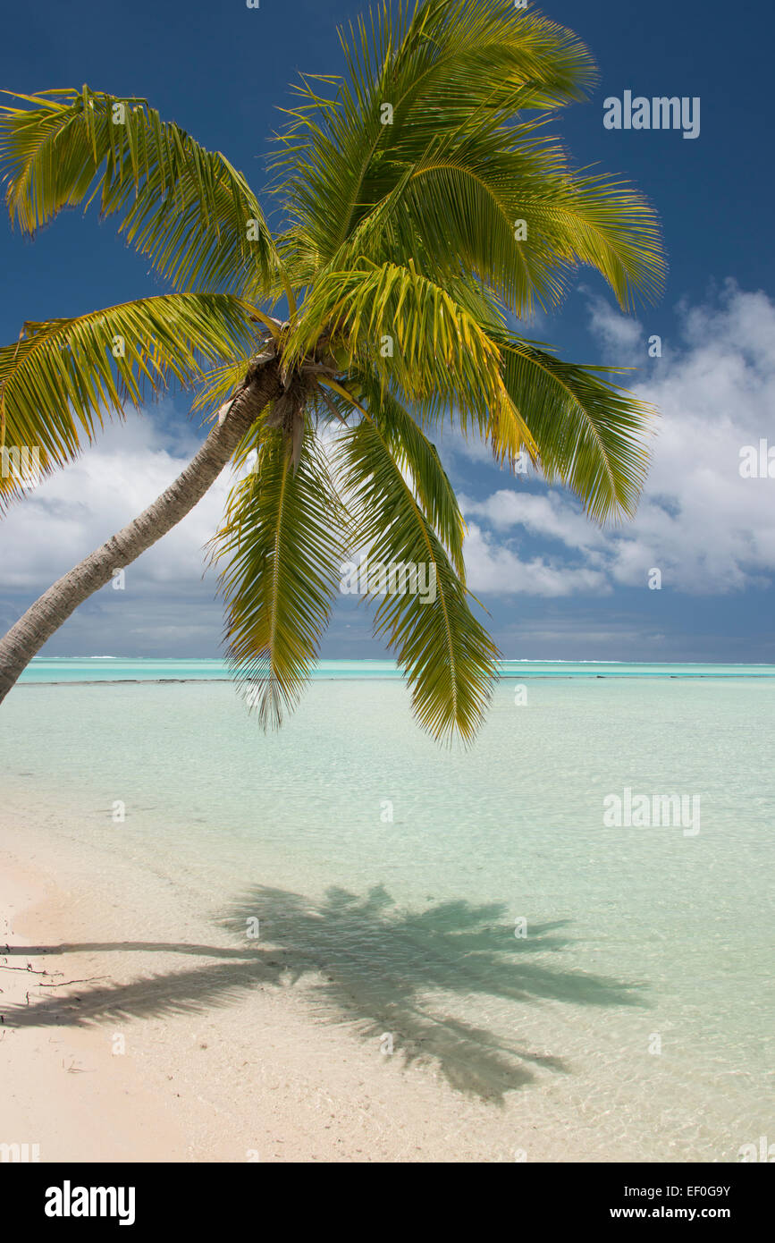 Cook Islands, Aitutaki (aka Araura). One Foot Island, a small "motu" in ...