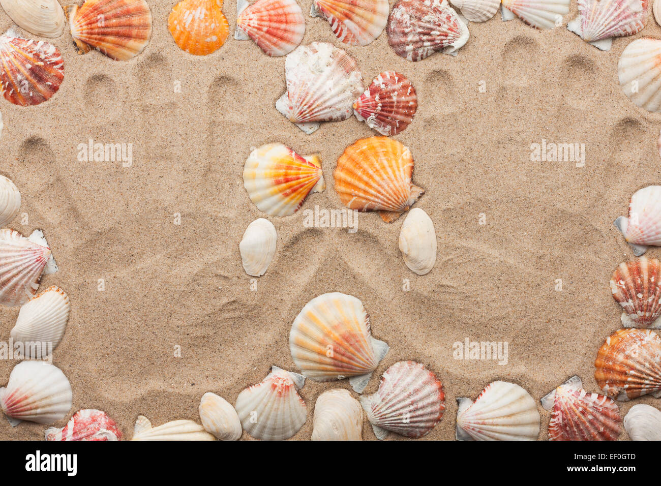 Imprint hands on the sand among the shells, as background Stock Photo ...