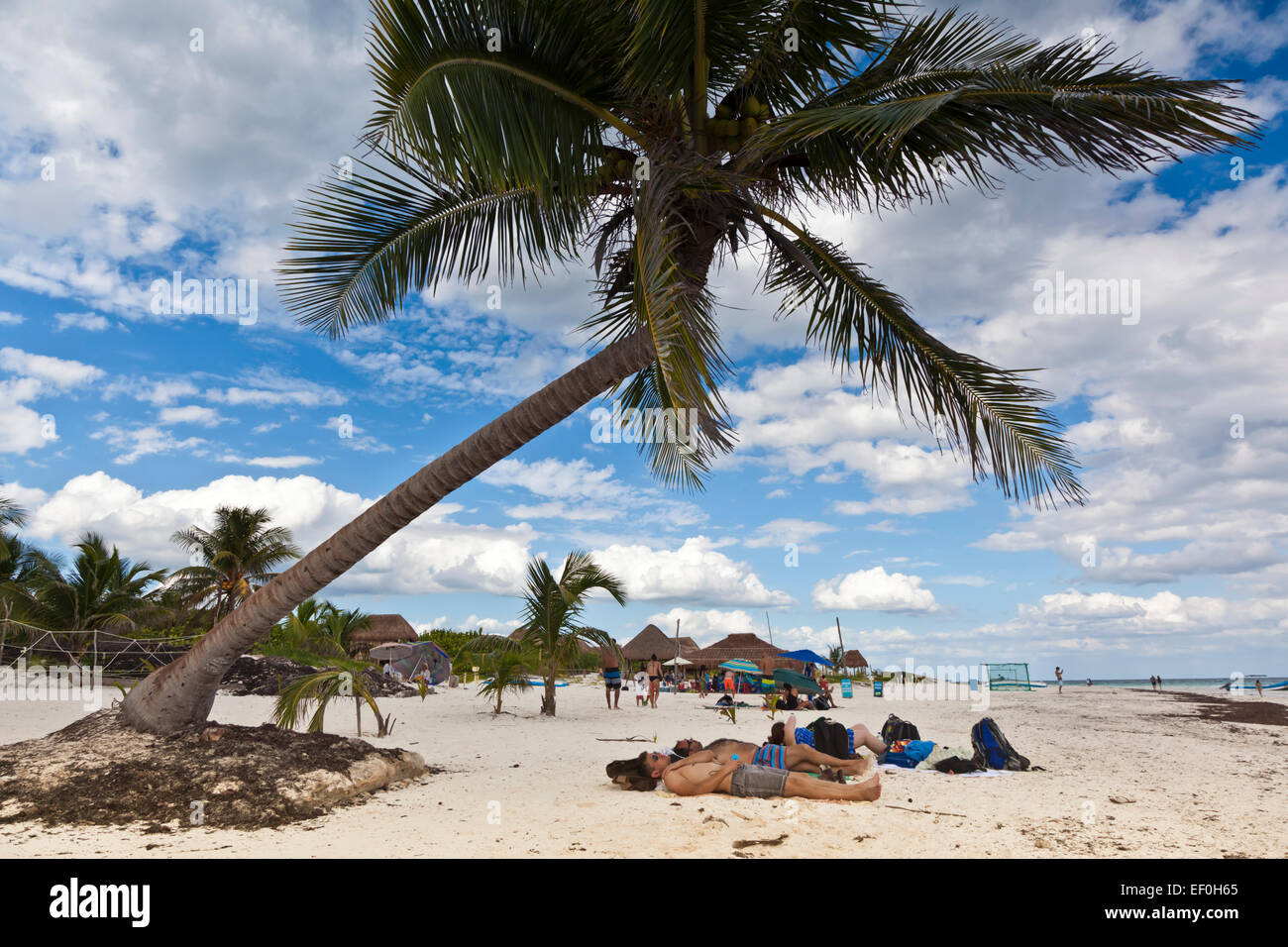 Beach near Tulum in Mexico Stock Photo - Alamy