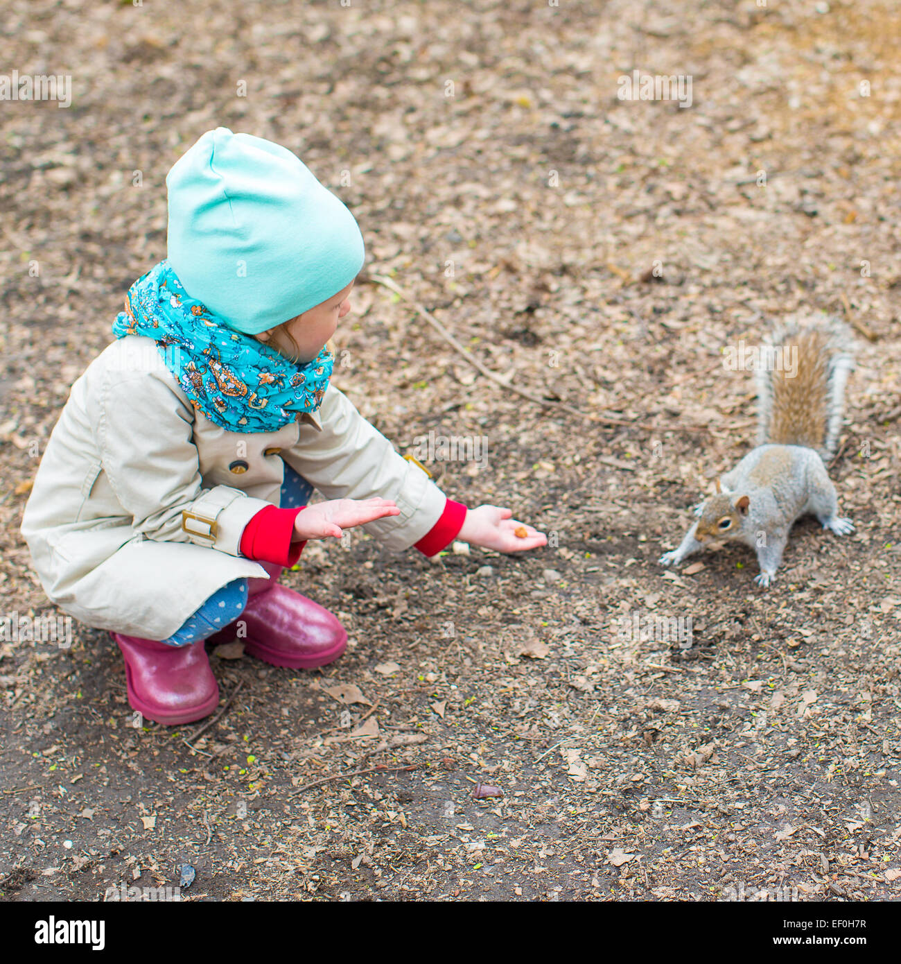 Little girl feeds a squirrel in Central park, New York, America Stock ...
