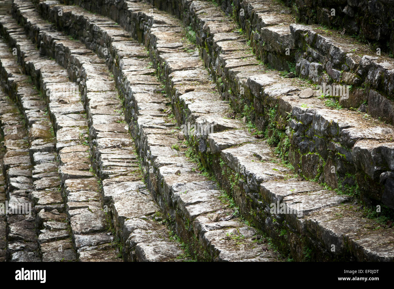 Stairs of ruins in Palenque in Mexico Stock Photo - Alamy