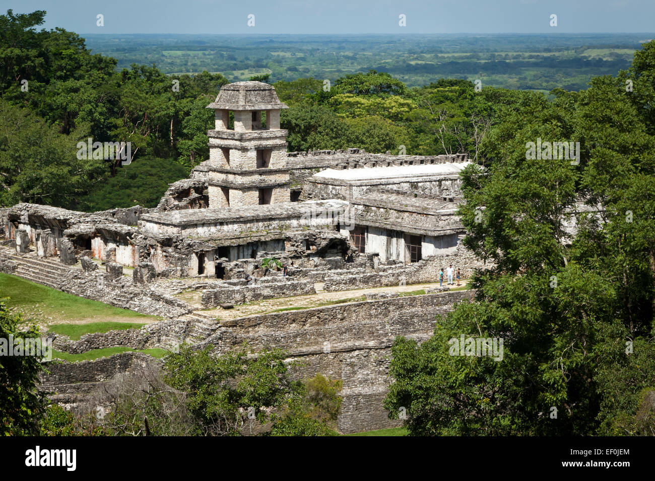 Palenque in Mexico Stock Photo - Alamy