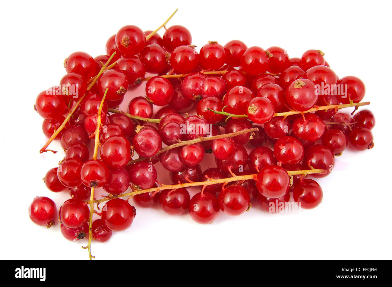 Bunch of fresh red currants on white background Stock Photo - Alamy